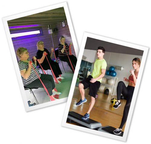 BMI Calculator – Plenty Training Fitness